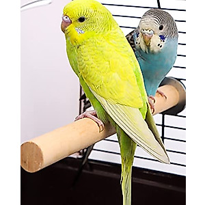 10 Pack Bird Perch, Bird Stand Set Bird Cage Accessories Natural Wood Toy Perch Parrot Toys Natural Branch Standing Stick for Budgies Love Birds Finches Small and Medium-Sized Bird Toys