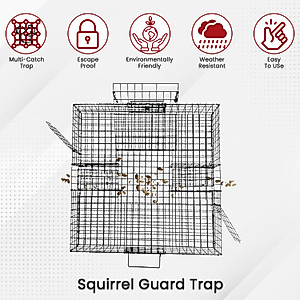 Predator Guard Squirrel Guard Trap - Humane Multi-Catch Trap, Attracts & Catches Multiple Squirrels in 1 Trap - Perfect for Indoor and Outdoor Use - Effective Squirrel Control to Protect your Property