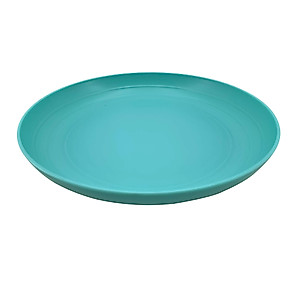 AOYITE 8-inch Plastic Plates Reusable, Lightweight Dinner Plate, BPA Free, Dishwasher Safe & Microwaveable, Dinnerware set of 6 Coastal Color