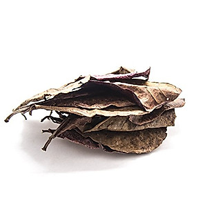Aquatic Arts 10 Giant Catappa Indian Almond Leaves (4.5-6+ inches) - Dried/Prepared for Aquarium Use - for Live Freshwater Shrimp, Snails, Fish (Betta, Otocinclus) Tank Health