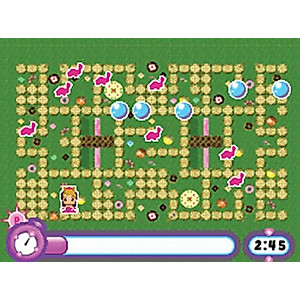 Squinkies with Gift - Nintendo DS