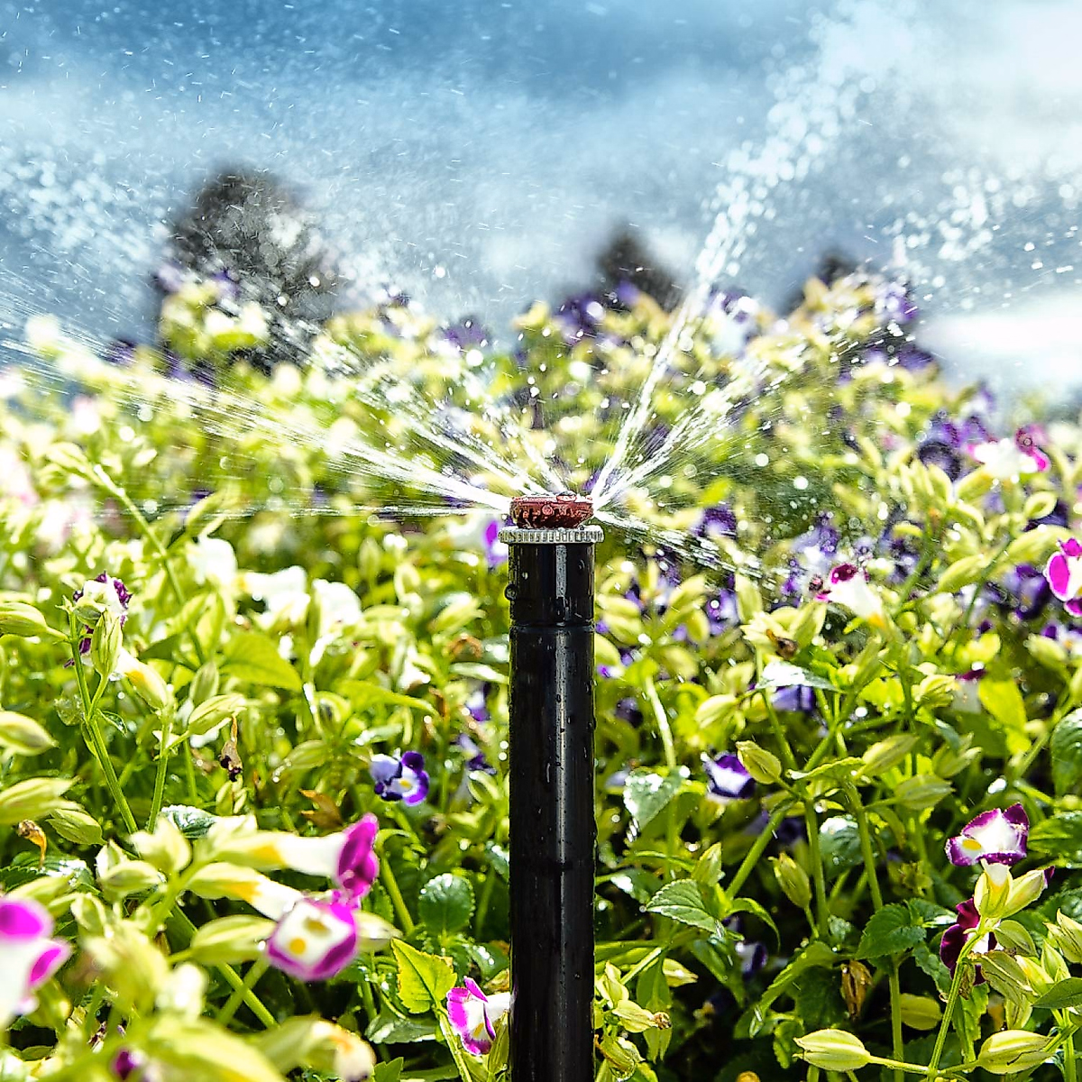 Hunter Industries MP-1000-90 Hunter Nozzle, MP1000, 90° to 210° MP Rotator, Maroon