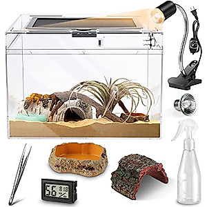 Reptile PC Glass Terrarium - Amphibians Tank Starter Kits, Acrylic Anti Breakage 12x9x7 inch, Top Sliding Door Screen Ventilation Mini Habitat Cages, Hygrometer, Hide Cave, Vines, Tweezer, Sprayer