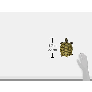 Design Toscano QM1887611 Gilbert The Box Turtle Garden Decor Animal Statue, 9 Inch, Single, Full Color