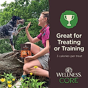 Wellness CORE Soft Tiny Trainers (Previously Petite Treats), Natural Grain-Free Dog Treats for Training, Made with Real Meat, No Artificial Flavors (Lamb & Apple, 6 Ounce Bag)