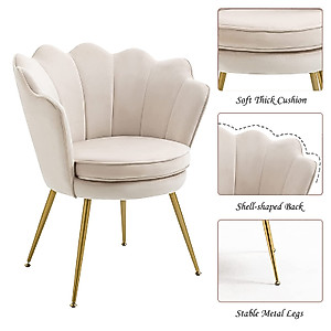 ZJhome Modern Accent Velvet Chairs Set of 2 Comfy Upholstered Vanity Chairs for Bedroom Shell-Shaped Armchair Dining Chairs with Golden Metal Legs Desk Chair Makeup Chairs for Living Room(Beige)