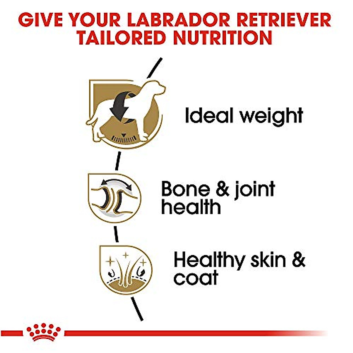 Royal Canin Labrador Retriever Adult Dry Dog Food, 30 lb bag