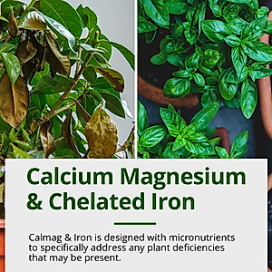 Humboldts Secret Starter Kit Pack – World's Best Indoor & Outdoor Plant Fertilizer and Nutrient System: Base A & B – Golden Tree – Flower Stacker – Plant Enzymes – CalMag & Iron