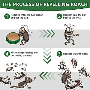 LUOJIBIE Roach Killer Indoor Infestation, Roach Bait, Roach Traps Indoor/Outdoor, Cockroach Repellent, Roach Killer, Quick Catch Roach Control-12PCS