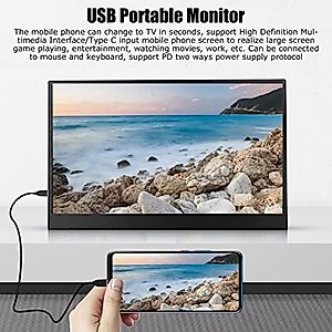 GOWENIC Portable Monitor, IPS Ultra Thin FHD Gaming Monitor, 13.3in 15.6in HDR USB HDMI Computer Display, External Monitor for Laptop Phone Tablet, Freesync Technology (15.6 inch)