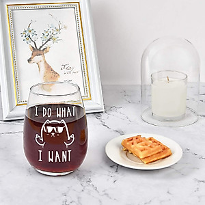 I Do What I Want Funny Wine Glass, Cat Stemless Wine Glass - Cat Lover Gifts for Women, Men, Cat Dad, Cat Mom, Cat Lover, Friends - Gift Idea for Christmas, Birthday
