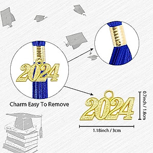 2 Pieces 2024 Graduation Tassel, Blue 2024 Tassel Graduation, Tassel for Graduation Cap 2024 Tassel Charm, Class of 2024 Tassel Graduation Regalia Honor Cords Graduation 2024 Year Gold Date Charm