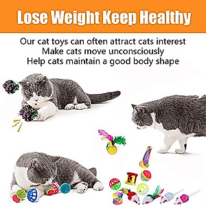 22 Pcs Cat Toys for Indoor Cats Kitten, Cat Tunnel Mouse Toy, Kitten Toys Cat Feather Teaser Wand Spring Toy