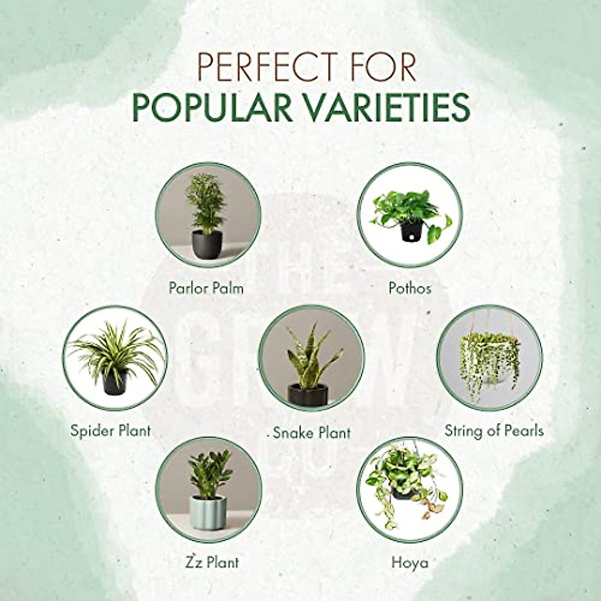 Organic Indoor Plant Food - All-Purpose Liquid Fertilizer - Best for Live Houseplants Indoors + Common Home Outdoor Plants in Pots (8 oz)