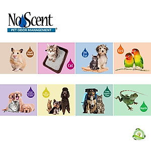 No Scent Anal Gland Express & Skunk Spray Pet Fur Cleaner for Dogs & Cats (8 Fl Oz / 237 mL)