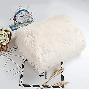 Vasofe Fuzzy Blanket Sherpa Blankets Fluffy Soft Fuzzy Faux Fur Throw Blanket for Xmas Couch Sofa Photo Home Decor Plush Blanket White Bed Throw Size