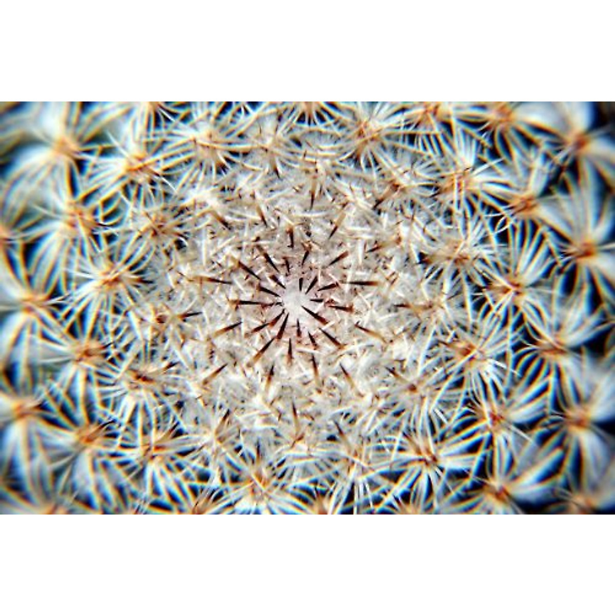 Close Up (+2) Macro Filter Lens for Canon EF-S 18-200mm f/3.5-5.6 is USM