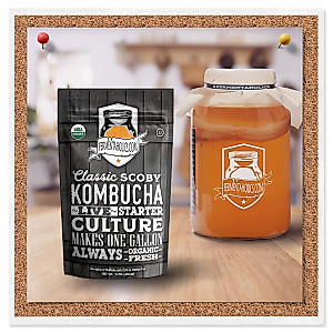 Fermentaholics ORGANIC Kombucha SCOBY With Twelve Ounces of Starter Tea - Live Starter Culture - Makes A One Gallon Batch - 1.5 Cups of Strong Mature Starter Tea - Brew Your Own Kombucha