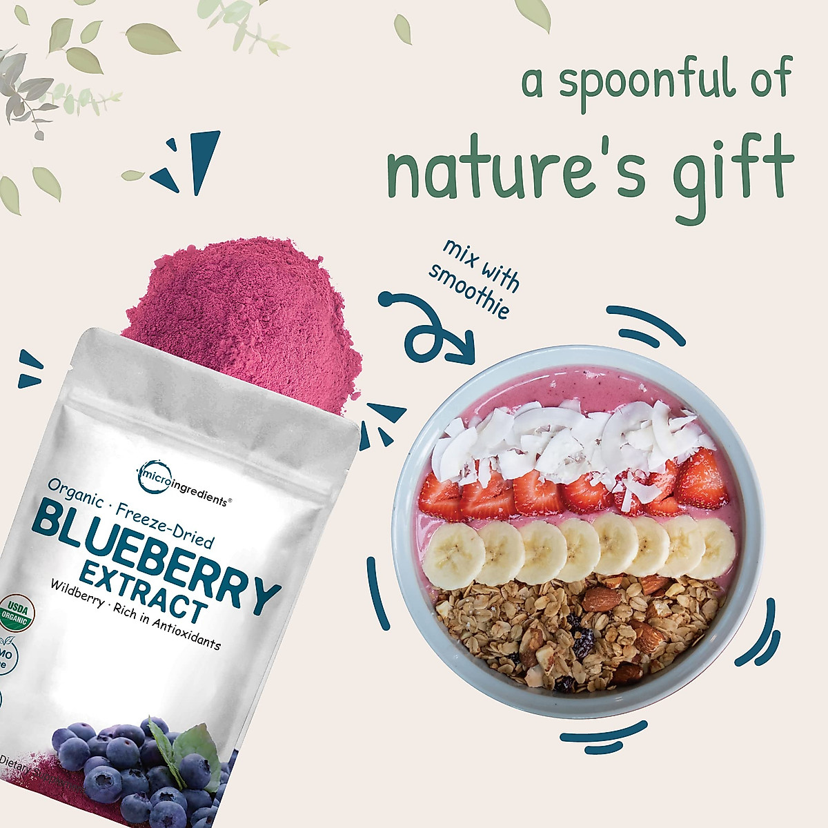 Organic Blueberry Extract Powder, 6oz | 100% Natural Fruit Powder | Freeze-Dried Wild Blueberries Source | No Sugar & Additives | Great Flavor for Drinks, Smoothie, & Beverages | Non-GMO & Vegan