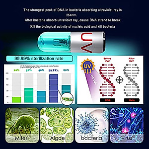 TAISHAN Aquarium Clean Light，3W Mini UV Sanitizer Submersible Light with Timer,Aquarium Water Clean Green Clear Waterproof Clean Lamp for Pond,Swimming Pool,Indoor