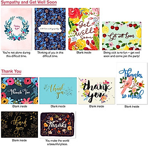 Fresh & Lucky 40 Greeting Cards Assortment Box all Occasion With White Envelopes - 4" x 6" Folded Thick Cards With Colorful, Funny Unique Designs
