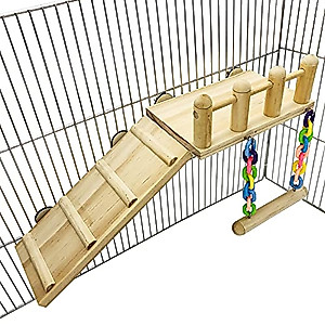 Bird Wooden Play Gyms Stands with Climbing Ladder and Acrylic Wood Swing for Green Cheeks, Lovebirds, Finches, Conures, Cockatiels, Parakeets, Bird Perches Cage Play Chewing Toys