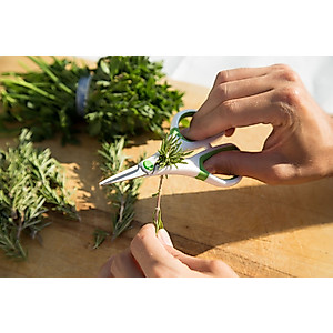 ZYLISS Herb Scissors - Trimming Weeds and Flower Buds 8.5 x 4.2 x 0.4 inches