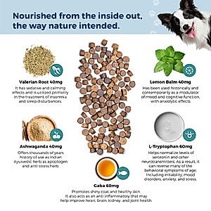 Petscy - Calming Chews for Dogs, Natural Dog Calming Chews with GABA and Lemon Balm for Stress & Anxiety Relief, Bite Sized Dog Anxiety Chews, Calming Dog Treats, 120g