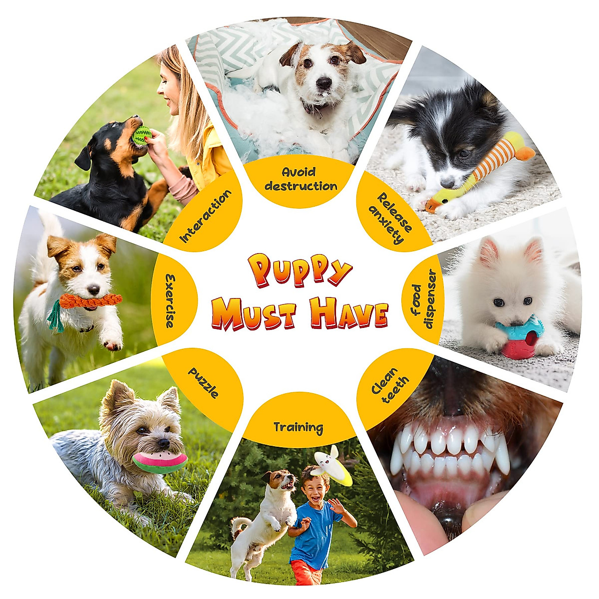 KIPRITII Luxury Puppy Chew Toys - 20 Pack With Rope, Squeaky, and Bite Toys for Teething Small Dogs