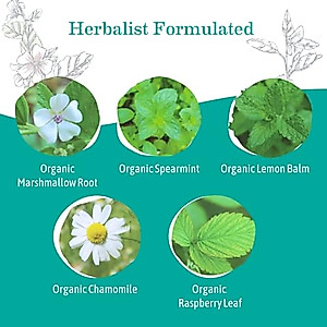 Earth Mama Organic Heartburn Tea | Pregnancy-Safe Soothing Herbal Blend with Marshmallow Root, Lemon Balm & Chamomile, 16 Teabags Per Box (3-Pack)