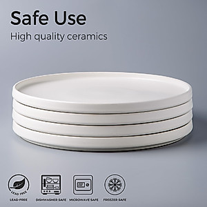 AmorArc Stoneware Dinner Plates Set of 4, 10.5 Inch Reactive Matte Glaze Ceramic Plates Set, Modern Dinnerware Dish set for Kitchen, Microwave, Dishwasher Safe, Scratch Resistant - Matte White