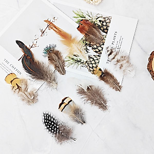 180pcs 6 Style Natural Feathers Assorted Mixed Feathers for Dream Catcher Crafts Decoration (6 Styles/180 Pcs)