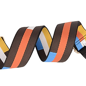 lola mae 2” Wide Shoulder Strap Replacement for Handbags Adjustable Removable Guitar Canvas Crossbody Belt for Purse (BS145 (Silver hardware))