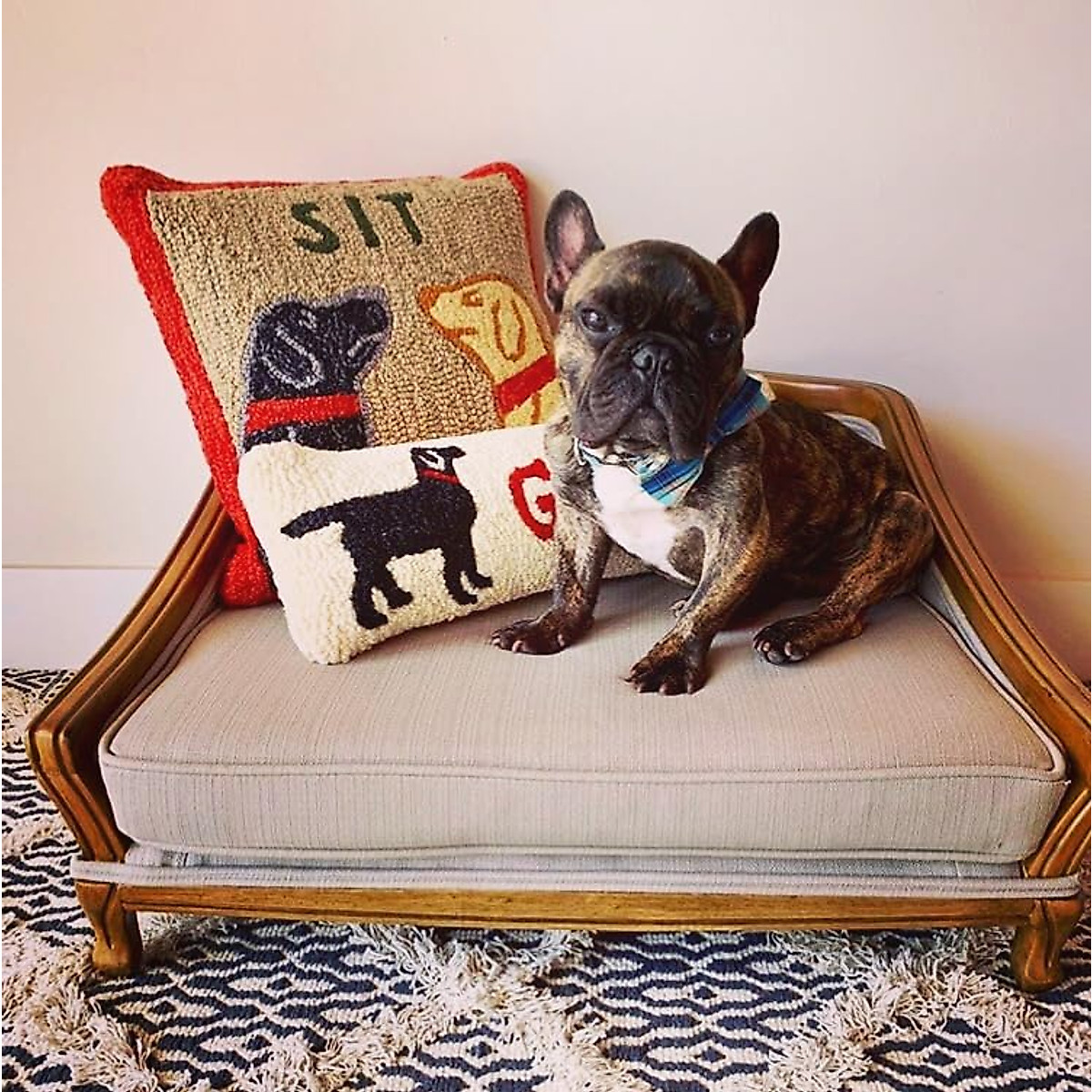 Chandler 4 Corners Artist-Designed Two Dogs Sitting Hand-Hooked Wool Decorative Throw Pillow (18” x 18”) Dog Pillow for Couches & Beds - Easy Care & Low Maintenance- Yellow, Black Lab Throw Pillow