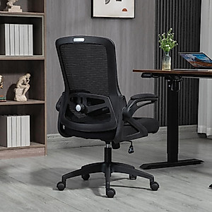 Office Chair,Ergonomic Home Office Desk Chairs Computer Modern Height Adjustable Swivel Chair with Lumbar Support (DCH-B2)