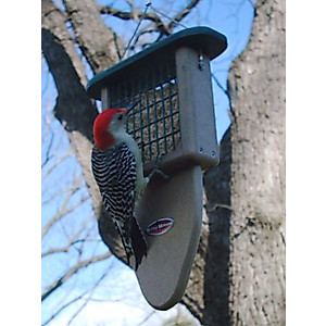Kettle Moraine Recycled Plastic Single Suet Cake Tail Prop Suet Bird Feeder with Hanging Cable