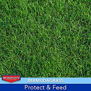 BioAdvanced 3-In-1 Weed and Feed for Southern Lawns, Granules, 12.5 lb, 5,000 Sq Ft
