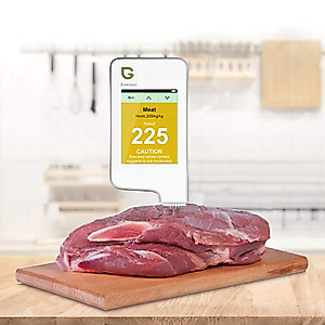 Greentest Drinking Water Quality Tester TDS Meter Analyser PPM + Food Digital Detector Nitrate Tester for Fruit,Vegetable,Meat Water and Fish