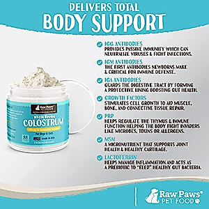 Raw Paws Pet Bovine Colostrum for Dogs Allergies & Immune Support, 5-oz - Made in USA, Pure Bovine Colostrum Powder for Cats - Bovine Colostrum Dogs Daily Supplement - Colostrum for Puppies & Kittens
