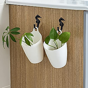 AOAOYING Wall Storage Hooks – Hippocampus Decorative Wall Mounted Coat Hooks for Hanging Coats, Scarves, Bags, Purses, Backpacks, Towels Indoor and Outdoor Hooks (Black 5 Pack)