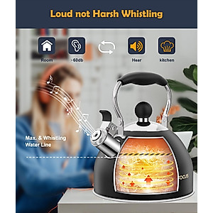 AMFOCUS Tea Kettle, 2 Quart Stainless Steel Whistling Tea Kettle, Stovetop Whistling Teakettle Tea Pots for Stove Top with Ergonomic Folding Handle, Small Teapot, Water boiler for Tea, Coffee (Black)