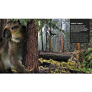 Knowledge Encyclopedia Dinosaur!: Over 60 Prehistoric Creatures as You've Never Seen Them Before (DK Knowledge Encyclopedias)