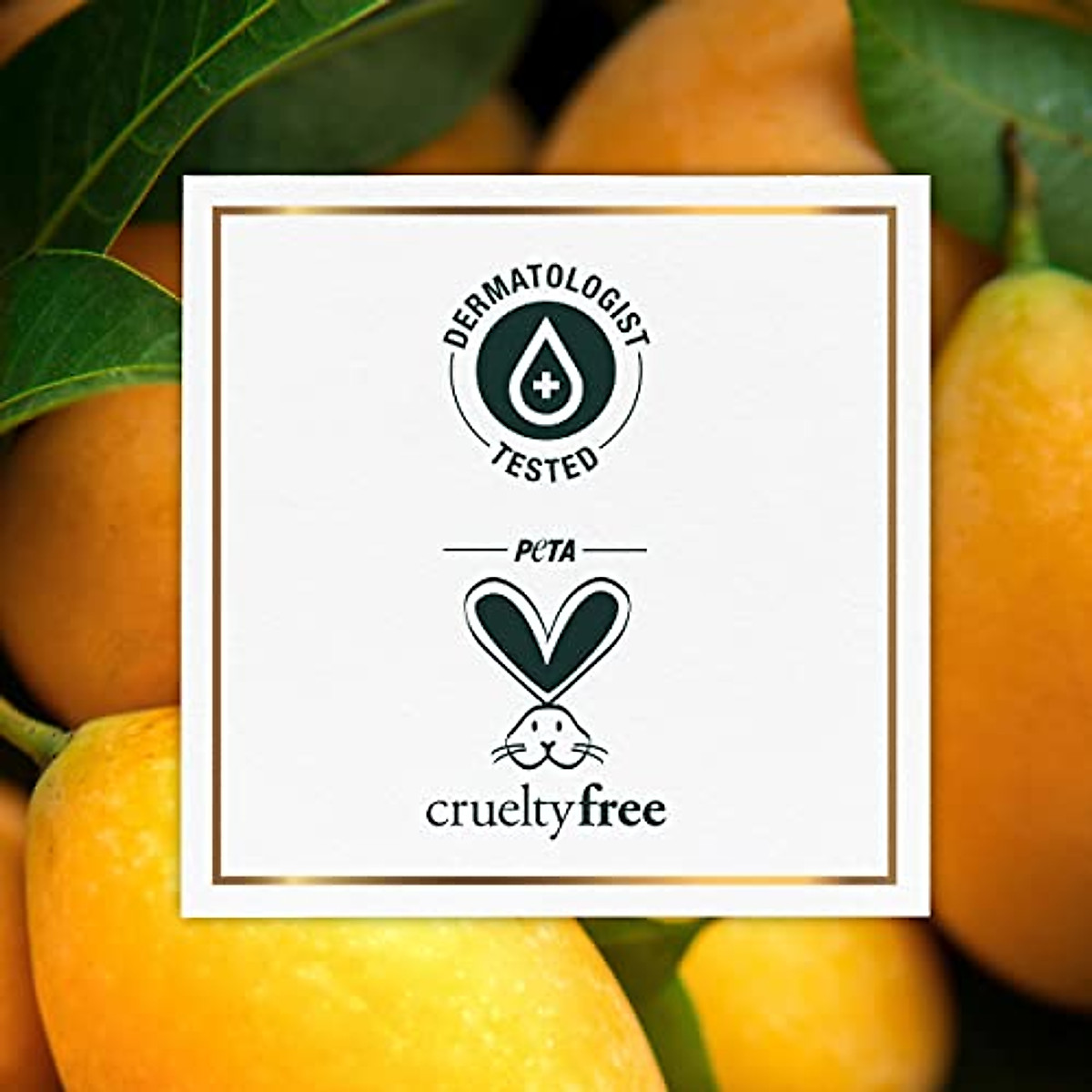 Herbal Essences Bio: Renew Potent Aloe + Mango Conditioner for Curly Hair 13.5 Fl Oz, 5.523 Fl Oz