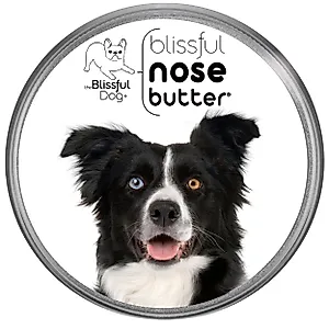The Blissful Dog Border Collie Unscented Nose Butter, 2-Ounce