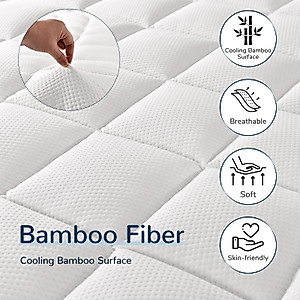 Dual Layer 3 Inch Memory Foam Mattress Topper Ultra Soft and Breathable Queen Mattress Topper, Mattress Topper with Pillow Cases(6080)