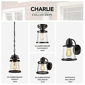 Globe Electric 44465 Charlie, Black