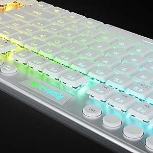Redragon K621 Horus TKL Wireless RGB Mechanical Keyboard, 5.0 BT/2.4 Ghz/Wired Three Modes 80% Ultra-Thin Low Profile BT Keyboard w/Dedicated Media Control & Linear Red Switches, White