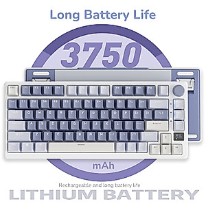 RK ROYAL KLUDGE M75 Mechanical Keyboard with OLED Smart Display and Volume Knob, 2.4G/USB-C/BT Gasket Mounted 75% Layout Wireless Gaming Keyboard with 81 Keys, RGB Backlit Hot-Swap Fast Silver Switch