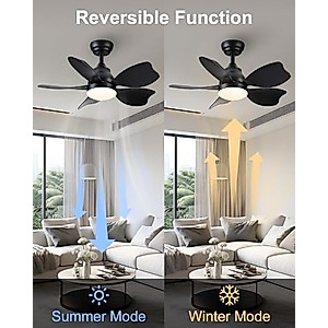 Newday 30" Ceiling Fan with Light and Remote, Small Ceiling Fans with Lights, 5 Reversible Blades 3 Colors Dimmable 6 Speed Ceiling Fan for Bedroom Kitchen Dining Room, Black Ceiling Fan with Light