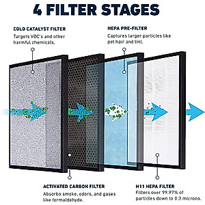 HATHASPACE Certified Replacement Filters for HSP001 Smart True HEPA Air Purifier, 1 Set, H11 True HEPA